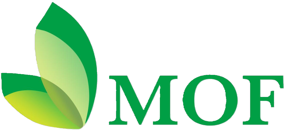 Staff Portal - Managing Of Future Eng. Company